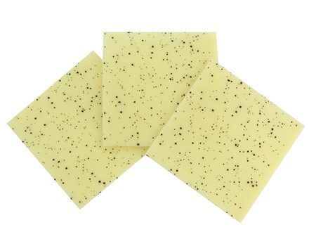 Duo chocolate panel decorations - Chocolate Trading Co