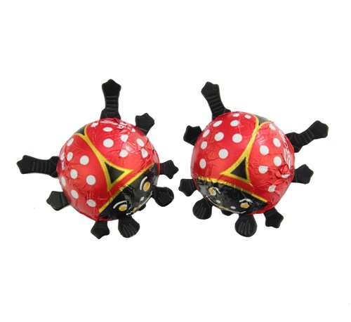 Chocolate ladybirds - Chocolate Trading Co